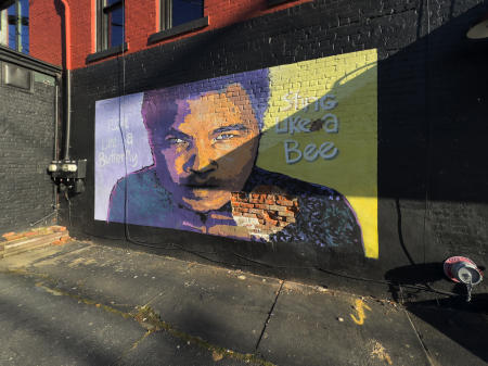 Goggle | DuckDuckGo | Safari | Architectural Photography | David R ...